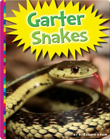 Snakes Nonfiction Children's Book Collection | Discover Epic Children's ...