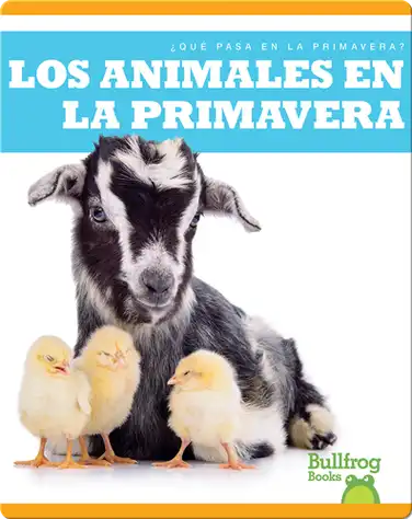 level 1 - Spanish Children's Book Collection | Discover Epic Children's ...