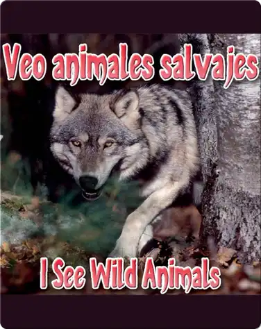 Wild Animals/Zoo Children's Book Collection | Discover Epic Children's ...