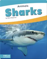 National Geographic Kids Everything Sharks Book by Ruth Musgrave | Epic