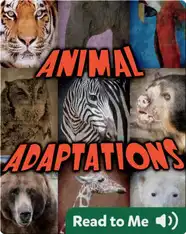 Plant Adaptations Book by Julie Lundgren | Epic